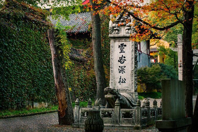 Private Nanjing Historical tour with Fuzimiao food sancks street - Practical Insights