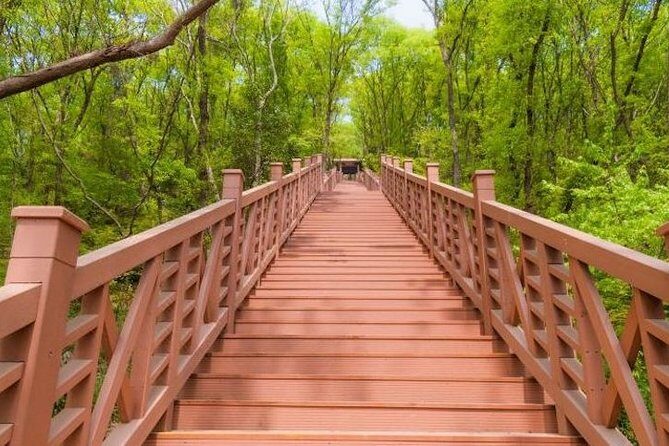 Private Nanjing Layover Tour to Qixia Mountain - Who Should Consider This Tour?