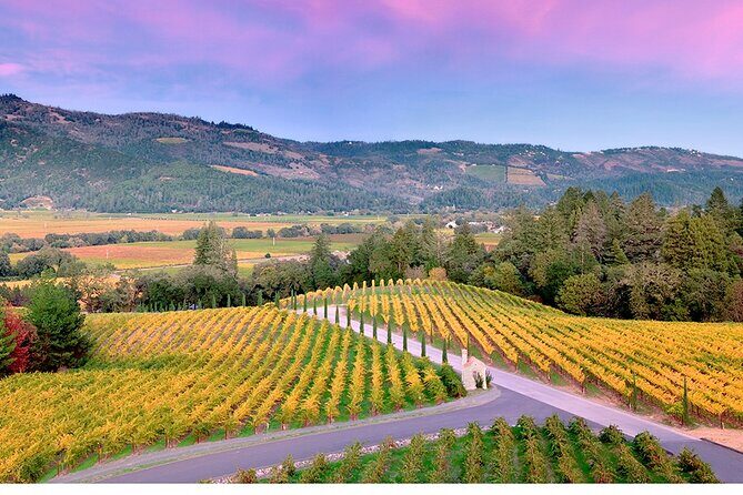 Private Napa Wine Tour Up To 6 Guests - Introduction