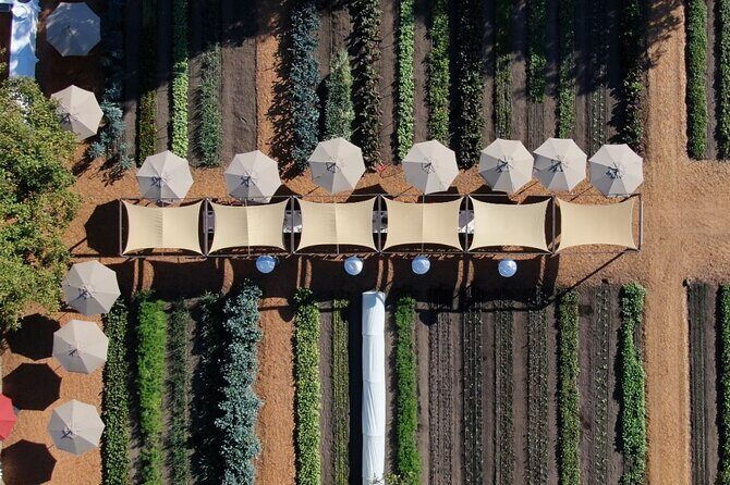 Private Napa Wine Tour Up To 6 Guests - The Sum Up