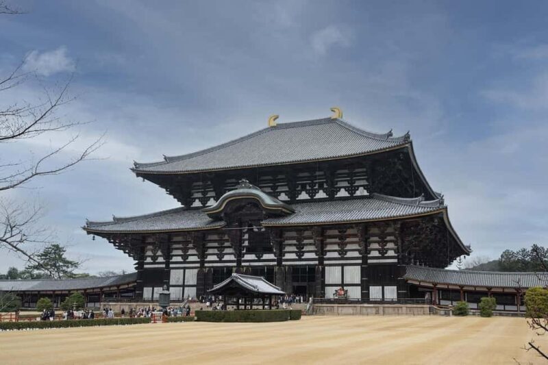 Private Nara Tour: Temples, Deer, and Photo Spots - Morning Exploration: Todai-ji Temple and Nara Park