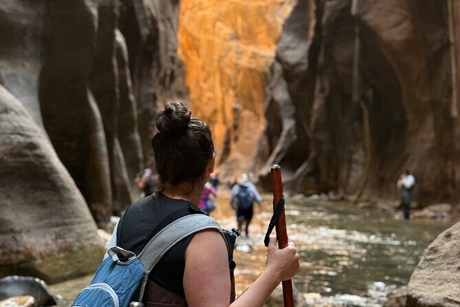 Private Narrows Slot Canyon Hike in Zion Canyon - Key Points