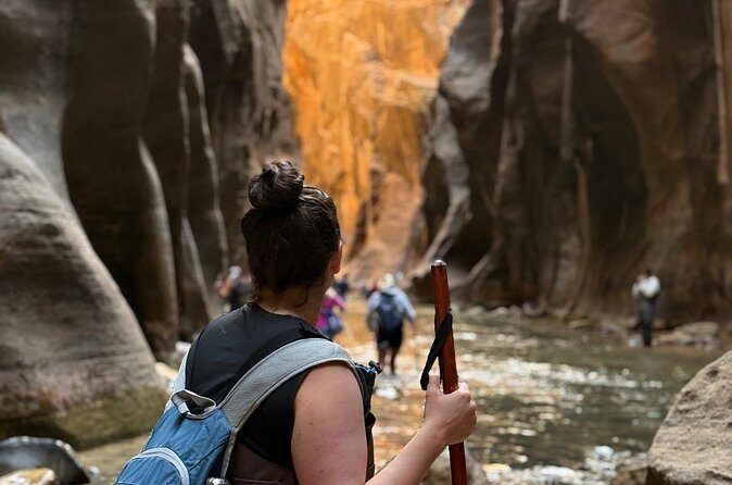 Private Narrows Slot Canyon Hike in Zion Canyon - Pricing and Value Analysis