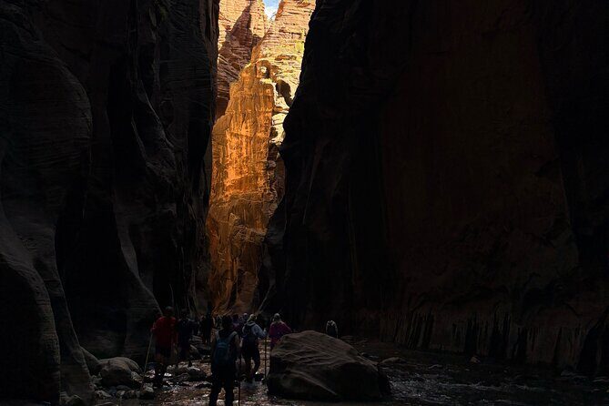 Private Narrows Slot Canyon Hike in Zion Canyon - Authentic Experiences and Feedback
