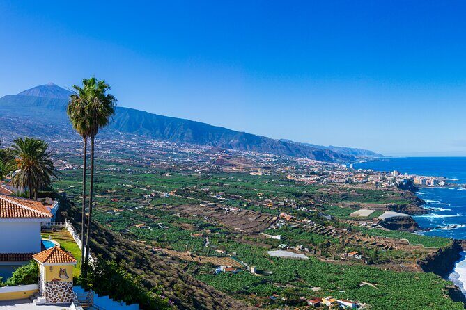Private nature and culture tour of Teide and northern Tenerife - In-Depth Look at the Itinerary