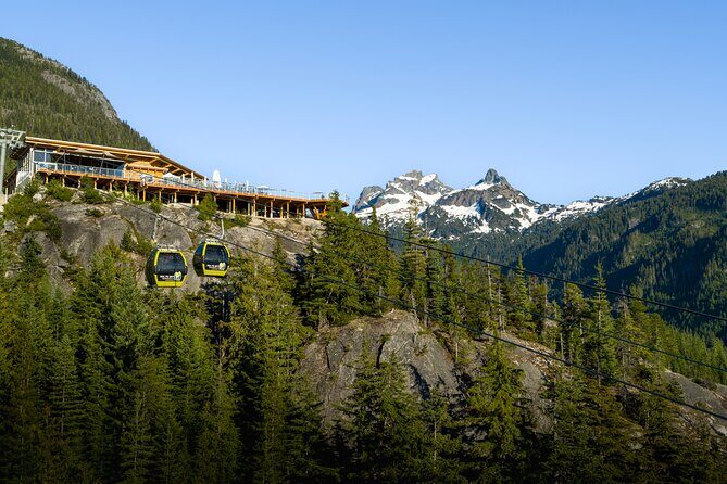 Private Nature Immersion Sea to Sky Gondola and Squamish Canyon - An In-Depth Look at the Tour
