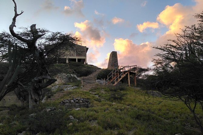 Private nature tour: Aruban mangrove forest & pristine coral reef - Exploring Aruba’s Natural Beauty: A Balanced Look