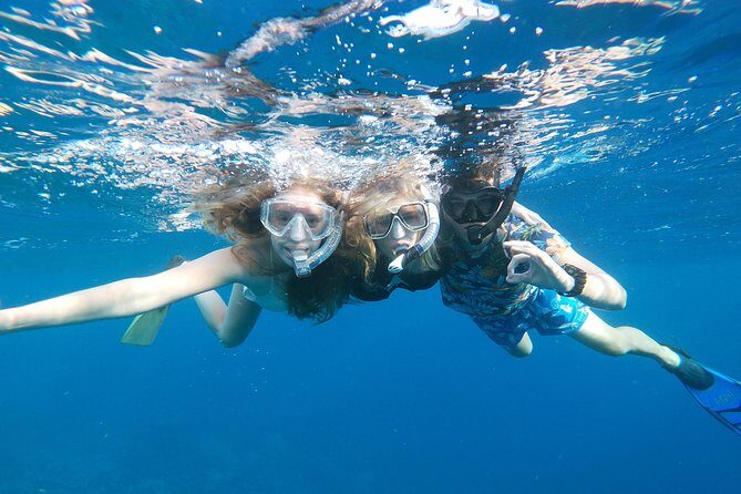 Private nature tour: Aruban mangrove forest & pristine coral reef - Authentic Experiences and Traveler Insights