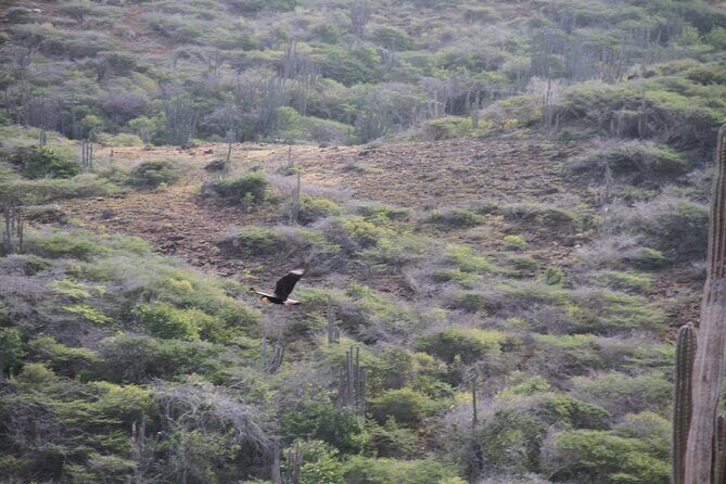 Private nature tour: Aruba's highest point & pristine coral reef - Final Thoughts