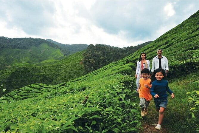Private Nature Trip to Cameron Highlands from Kuala Lumpur - Final Thoughts