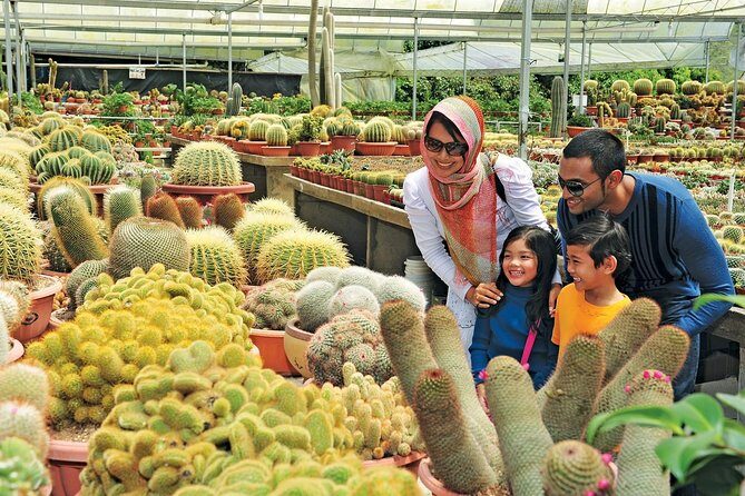 Private Nature Trip to Cameron Highlands from Kuala Lumpur - Food and Pricing