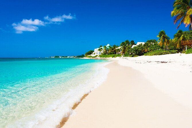 Private Negril Beach and Rick's Café from Montego Bay - Who This Tour Is Ideal For