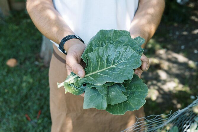 Private New Orleans Cajun Cooking Class with a Local Courtland - The Sum Up: Who Should Book This Experience?