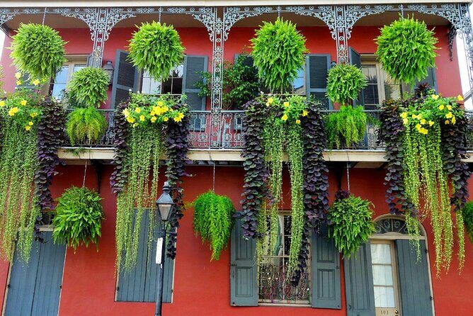 Private New Orleans City Tour with Local Expert Guide - Frequently Asked Questions