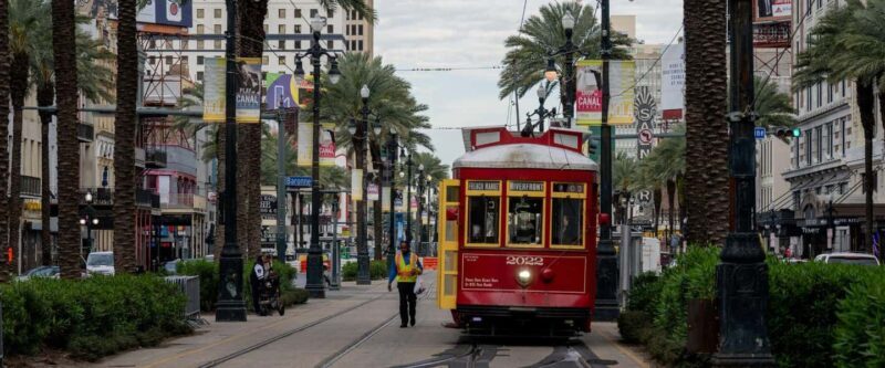 Private New Orleans Panoramic: With Drink and Souvenir - The Experience of the Neighborhoods