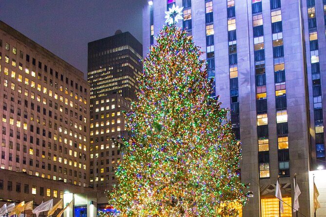 Private New York Christmas Tour with Driver and Guide - FAQ