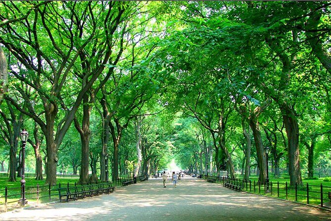 Private New York City Walking Tour: Central Park History and Hidden Secrets - Exploring Central Park with a Private Guide