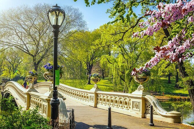 Private New York City Walking Tour: Central Park History and Hidden Secrets - Value for the Price
