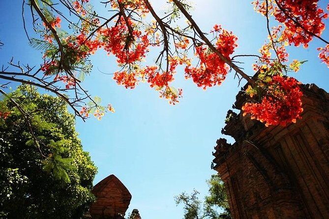 Private Nha Trang city excursion (half day program) - Start at the National Oceanographic Museum of Vietnam