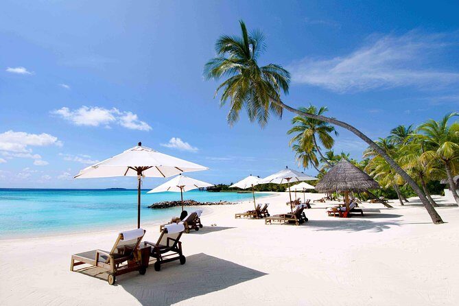 Private Nha Trang Full day City Tour - Key Points