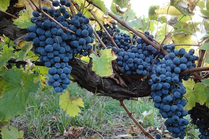 Private Niagara Falls, Niagara-on-the-Lake, Canada - Day Tour with Hotel Pick Up - Final Thoughts: Is It Worth It?