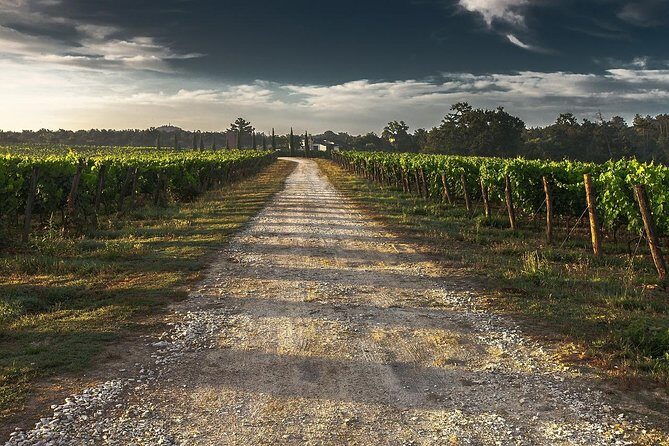 Private Niagara Falls-Niagara-on-the-Lake Day Trip and Winery Tour from Toronto - A Close Look at the Itinerary and What to Expect