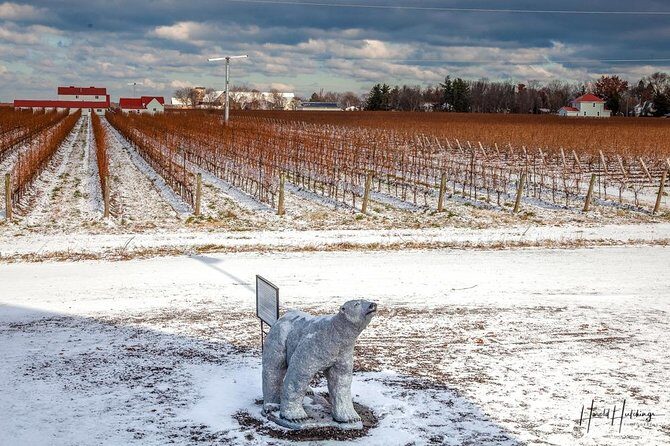Private Niagara Ice Wine Tour - FAQs