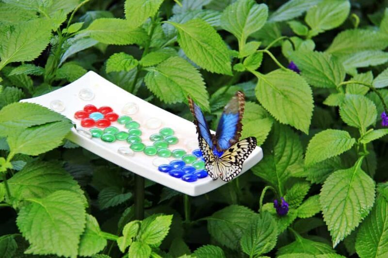 Private Niagara Winter Tour w/ 4 Attractions & Syrup Taste - What the Reviewers Say