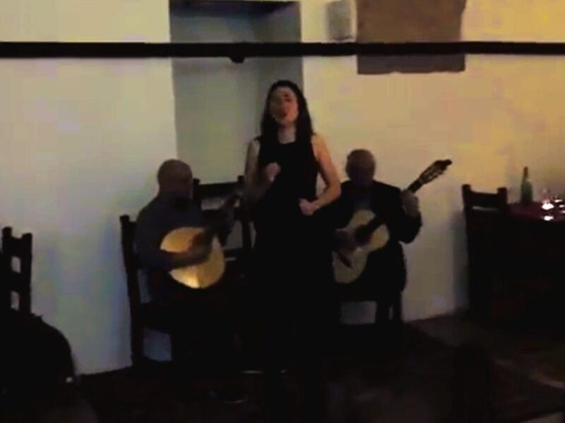 Private night tour, authentic Fado show & Portuguese dinner - Key Points