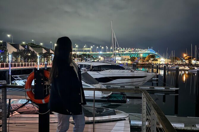 Private Night Tour of Auckland, Sky Tower Bar, Bridge & Museum - Crossing the Auckland Harbour Bridge: An Iconic Sight