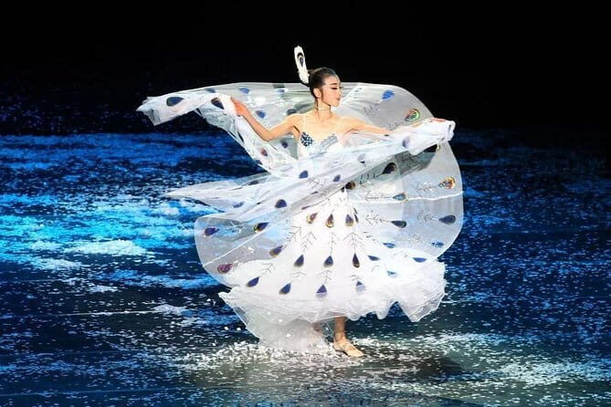 Private Night Tour to Enjoy Dynamic Yunnan Show - An In-Depth Look at the Experience