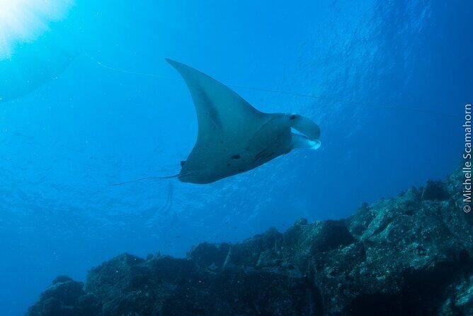 Private Niihau Scenic Snorkel - The Itinerary: What You Can Expect