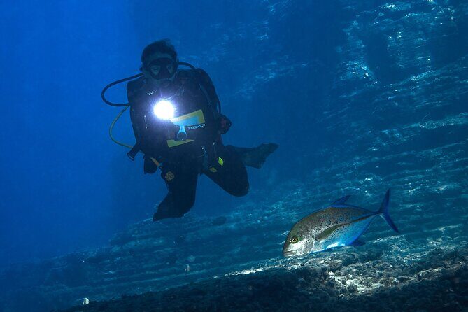 Private Niihau Scuba Charter with 2 or 3 Tank Dive Option - Final Thoughts: Who Is This Tour Perfect For?