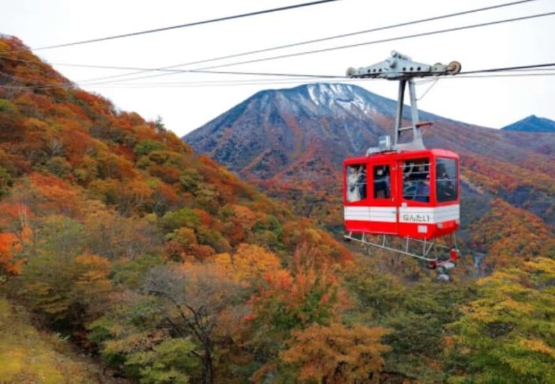 Private Nikko Day Trip from Tokyo UNESCO Shrines & Nature - Transportation & Comfort