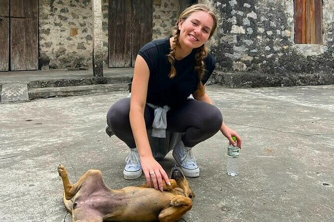 Private Ninh Binh Day Trip to Trang An, Bich Dong & Mua Caves - An In-Depth Look at the Ninh Binh Adventure