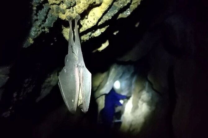Private Ninja Training in a Cave in Hidaka - The Sum Up