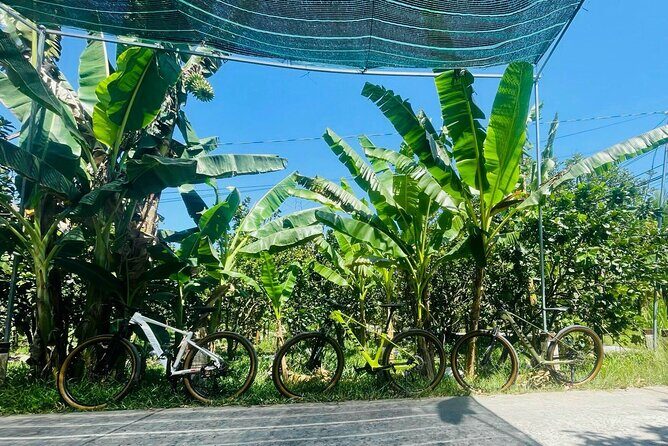 Private Non-Touristy Mekong Delta Day Trip with Biking, Boat Ride - The Practical Details: What You Need to Know