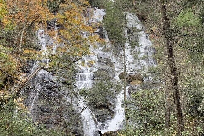 Private North Georgia Waterfall Tour and Scenic Hikes - Detailed Exploration of the Waterfall Tour Experience