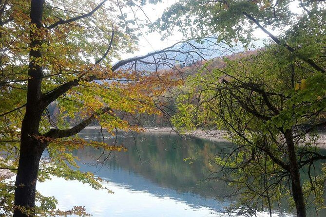 Private north Montenegro tour -Moraca River Canyon and walk trough Virgin Forest - Final Thoughts: Is This Tour For You?