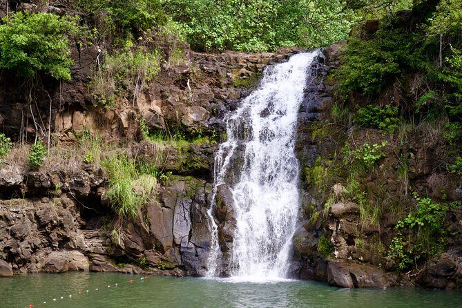 Private North Shore Oahu Tour ft. Waimea Falls-Customizable - A Deep Dive into the Experience
