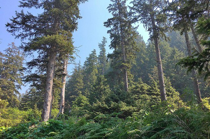 Private Northern Oregon Coast Tour - Your Guide & Experience