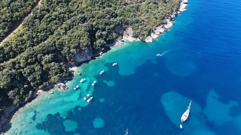 Private Northern Tour - Pelagic Boat Trip in Sarande - Key Points