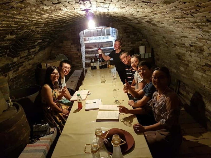 Private Novi Sad, Sremski Karlovci & Farmer's House - Who Should Consider This Tour?