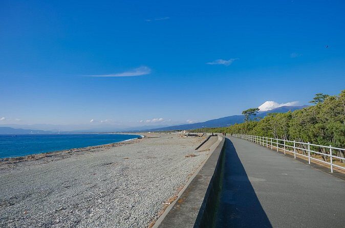 Private Numazu Tour with Lisenced Guide by Car - The Sum Up