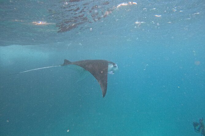 PRIVATE Nusa Penida on Boat Snorkeling & Island Tour (INCLUSIVE) - The Itinerary in Detail: What to Expect