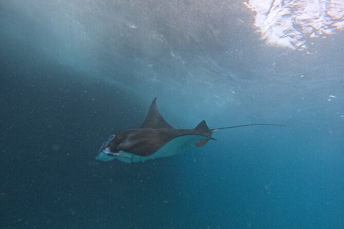 PRIVATE Nusa Penida on Boat Snorkeling & Island Tour (INCLUSIVE) - The Value Proposition