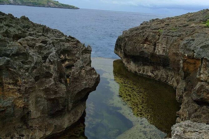 Private Nusa Penida Snorkeling Tour - Diving Into the Experience: What to Expect on the Tour