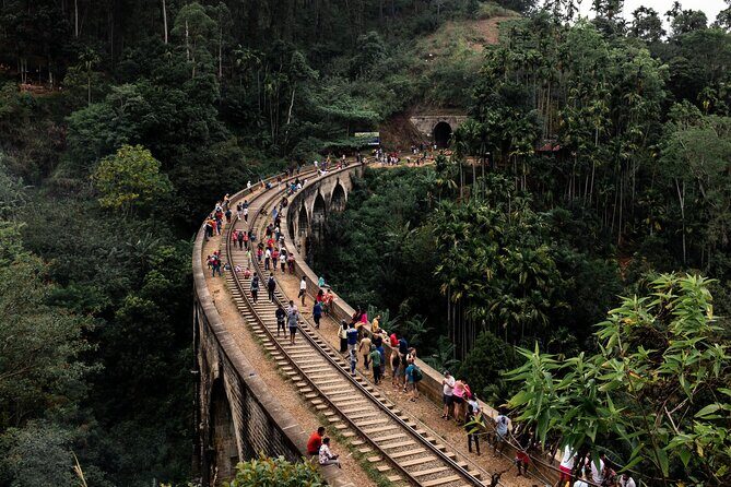 Private Nuwara Eliya Day Trip from Colombo All Inclusive - Who Should Consider This Tour?