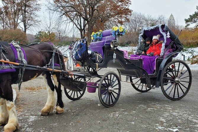 Private NYC Central Park Horse Carriage Ride (Guided) Since 1965 - Authenticity and Value from Reviews