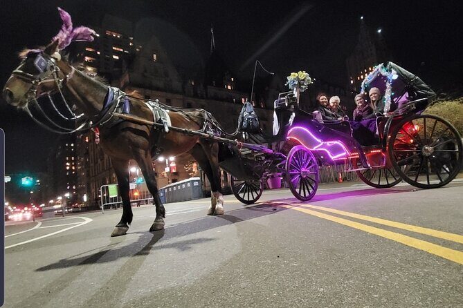 Private NYC Central Park Horse Carriage Ride (Guided) Since 1965 - Who Will Enjoy It Most?
